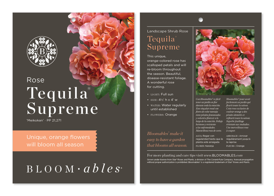 Tequila® Supreme – Antique Rose Emporium